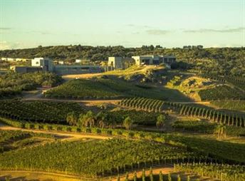 Bodega Garzón Proudly Accepts ‘New World Winery of The Year’ Award at ...